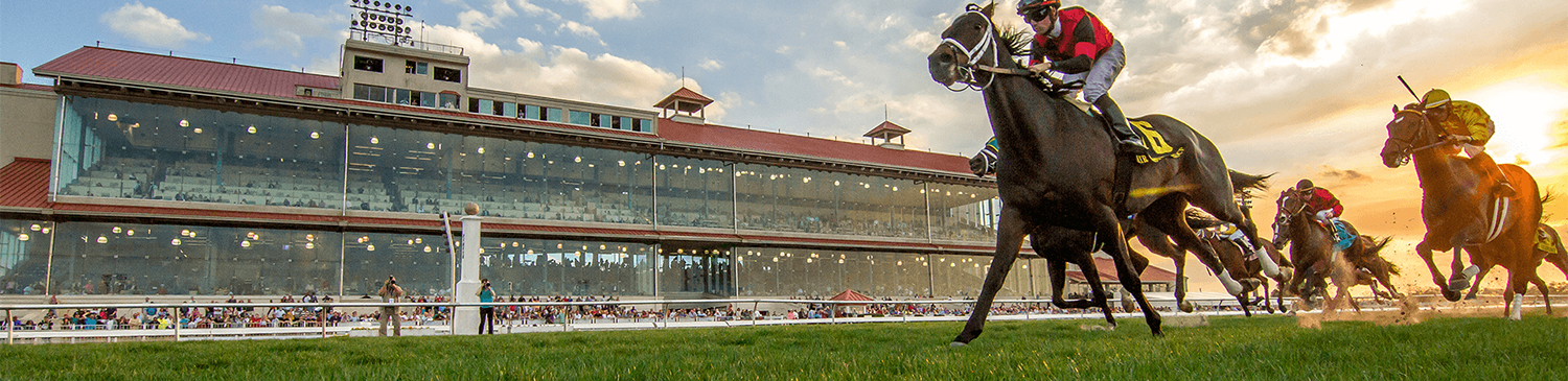 Fair Grounds Horse Race Track Profile at BetOnline.ag Racebook