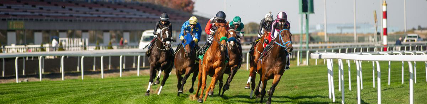 Golden Gate Fields Horse Race Track Profile at BetOnline.ag Racebook