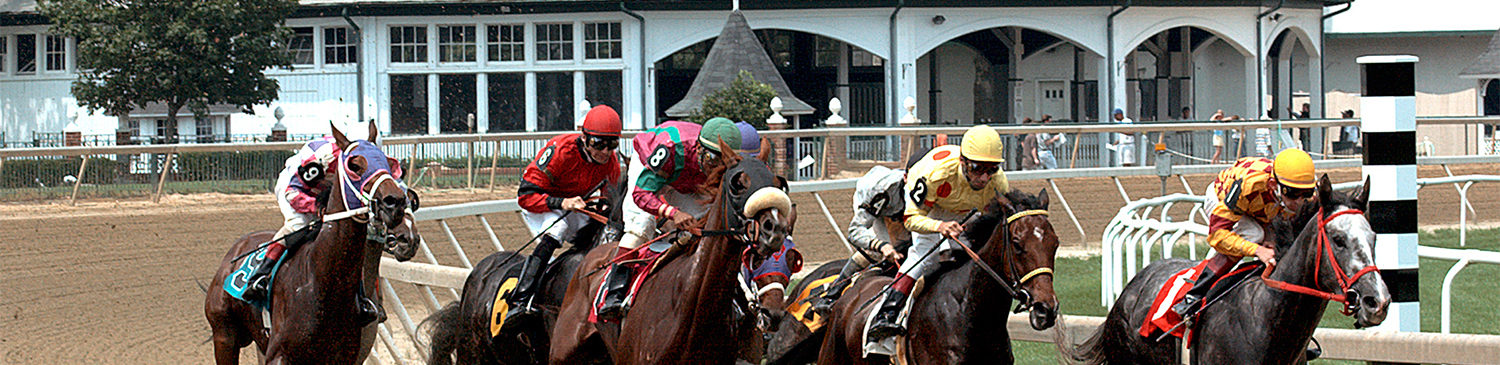 Laurel Park Horse Race Track Profile at BetOnline.ag Racebook