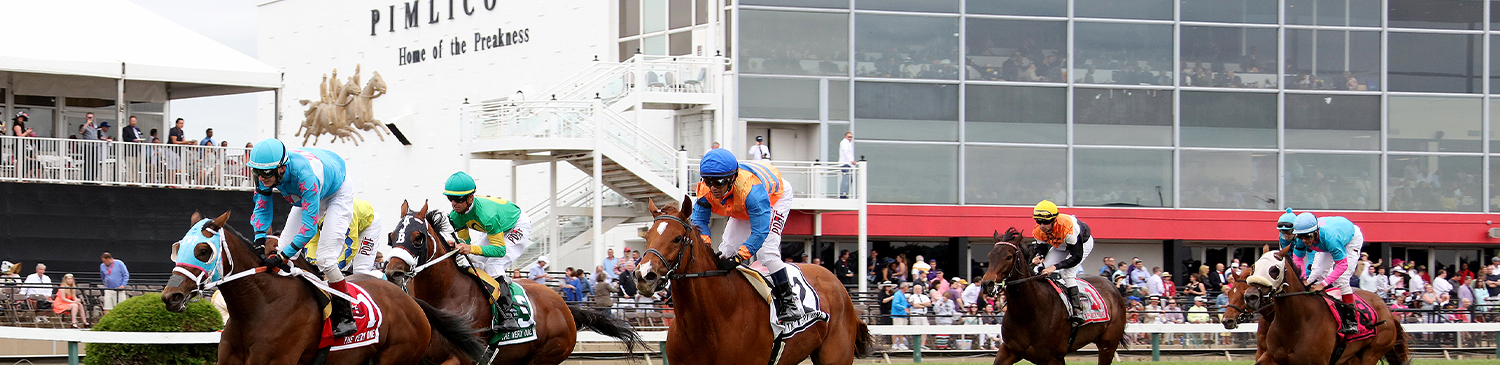 Pimlico Horse Race Track Profile at BetOnline.ag Racebook