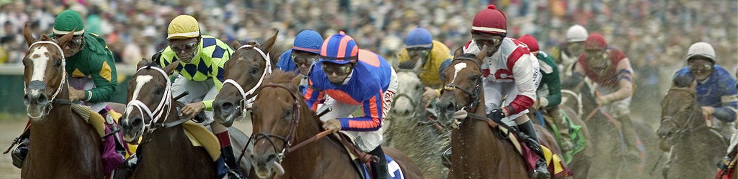 Tampa Bay Downs Horse Race Track Profile at BetOnline.ag Racebook