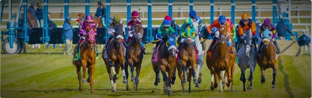 Horse Race Track Profile at BetOnline.ag Racebook